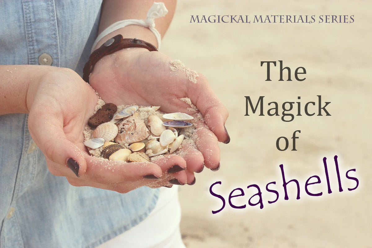 The magick of seashells – Grove and Grotto