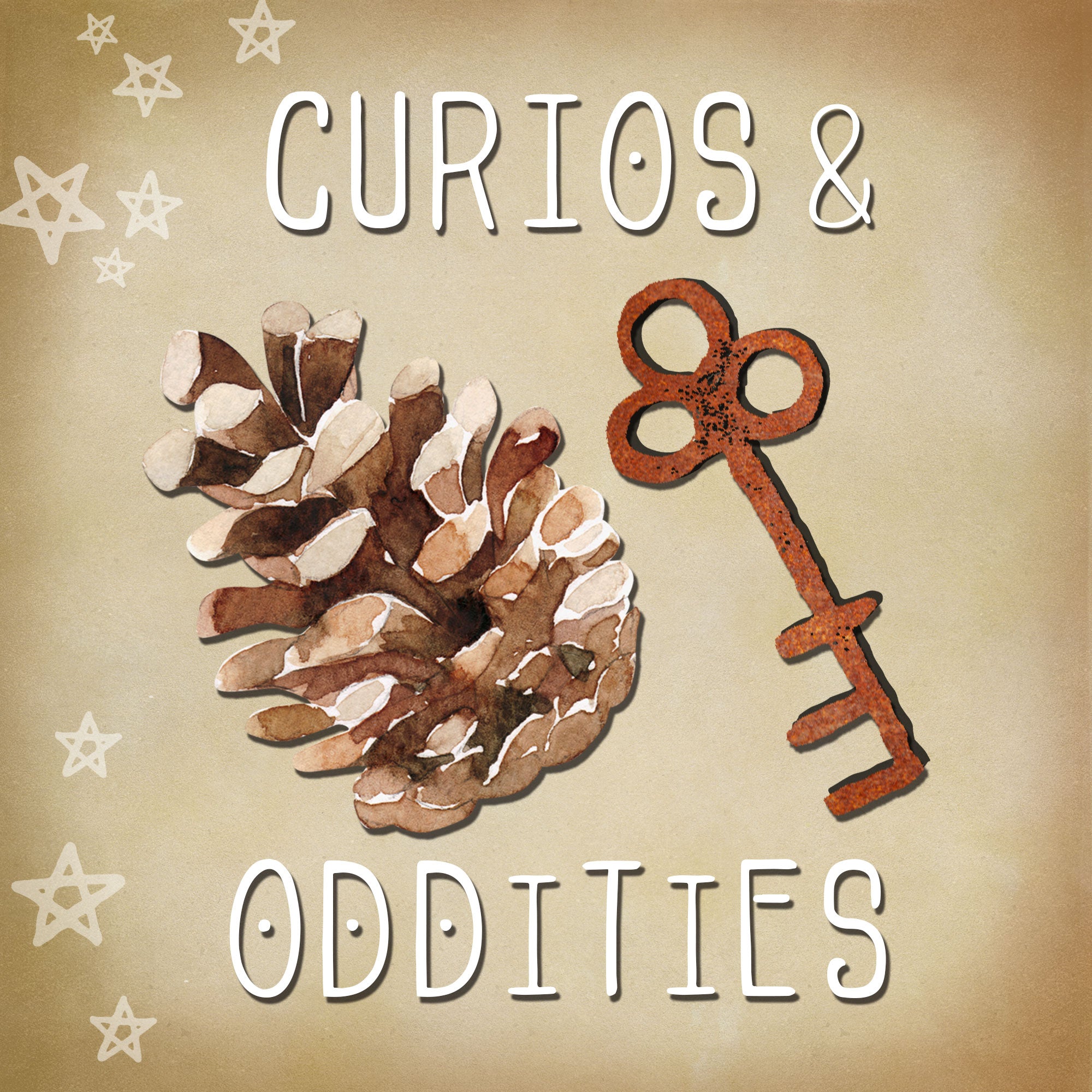 Curios and Oddities – Grove and Grotto