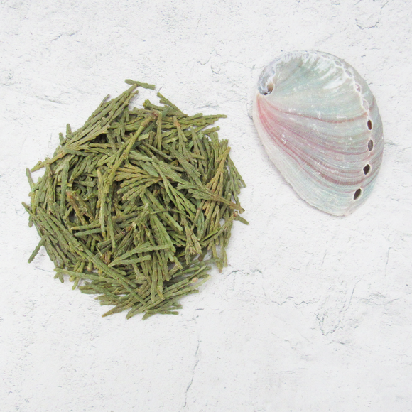 Loose Cedar with Mini Abalone Shell – Grove and Grotto