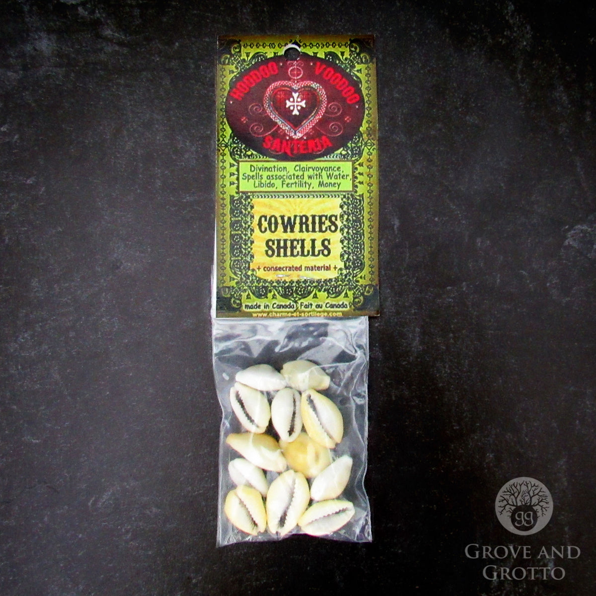 Cowrie Shells by Charme et Sortilege – Grove and Grotto