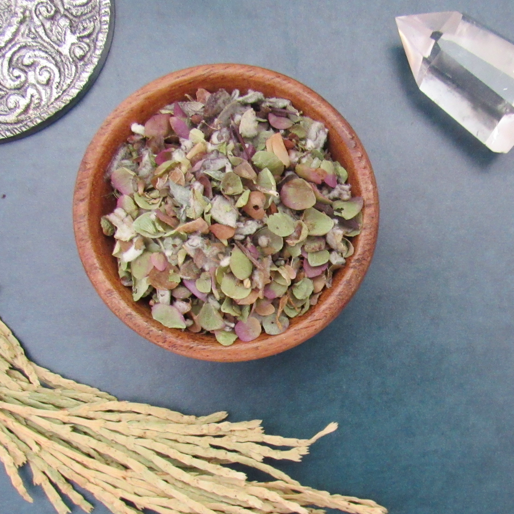Dittany of Crete (1/4 oz) – Grove and Grotto