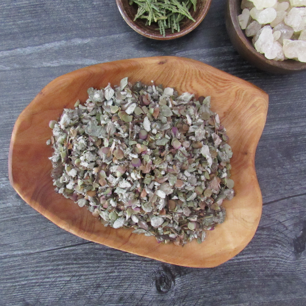 Dittany of Crete (1/4 oz) – Grove and Grotto