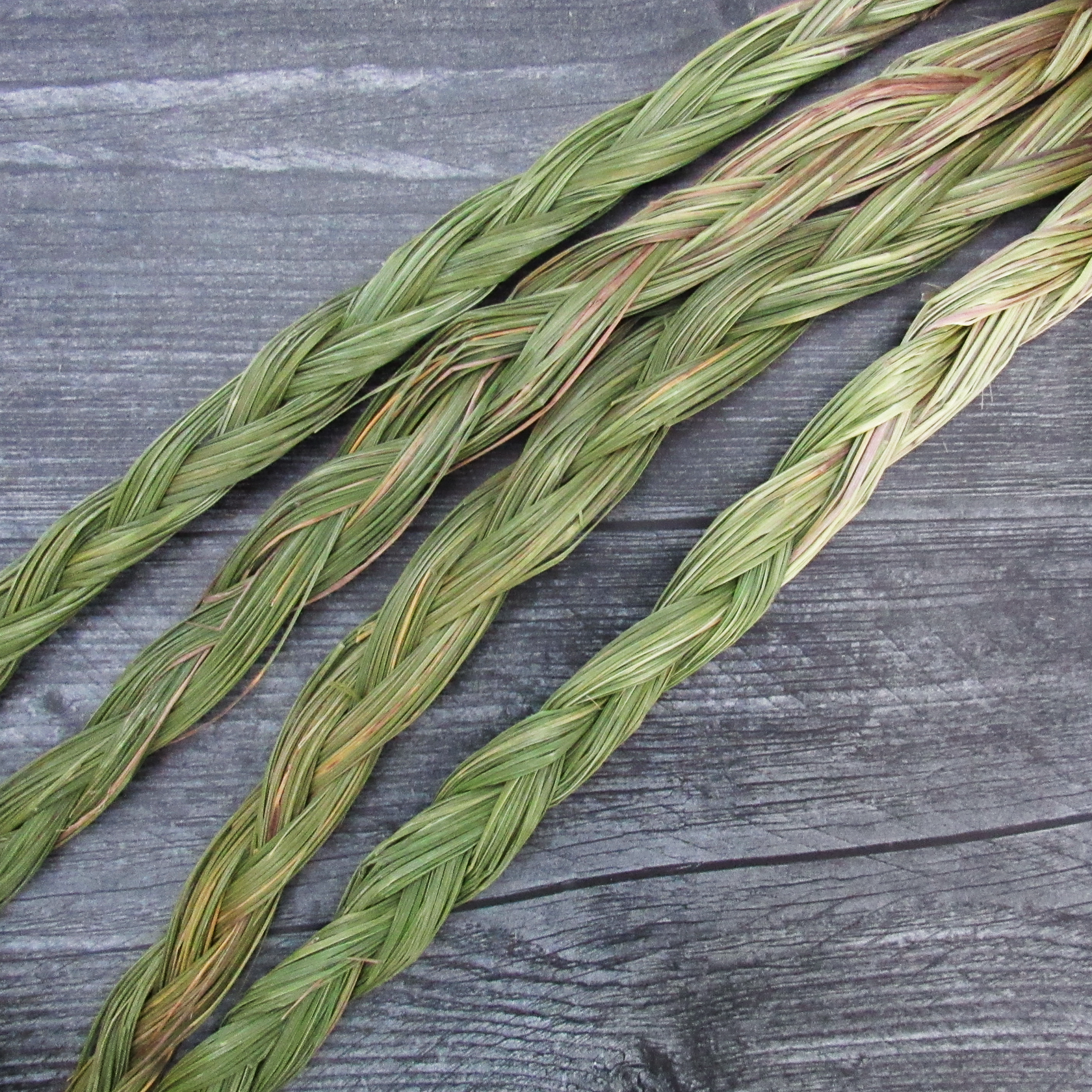 Large Sweetgrass Braid (18+ Inches) – Grove and Grotto