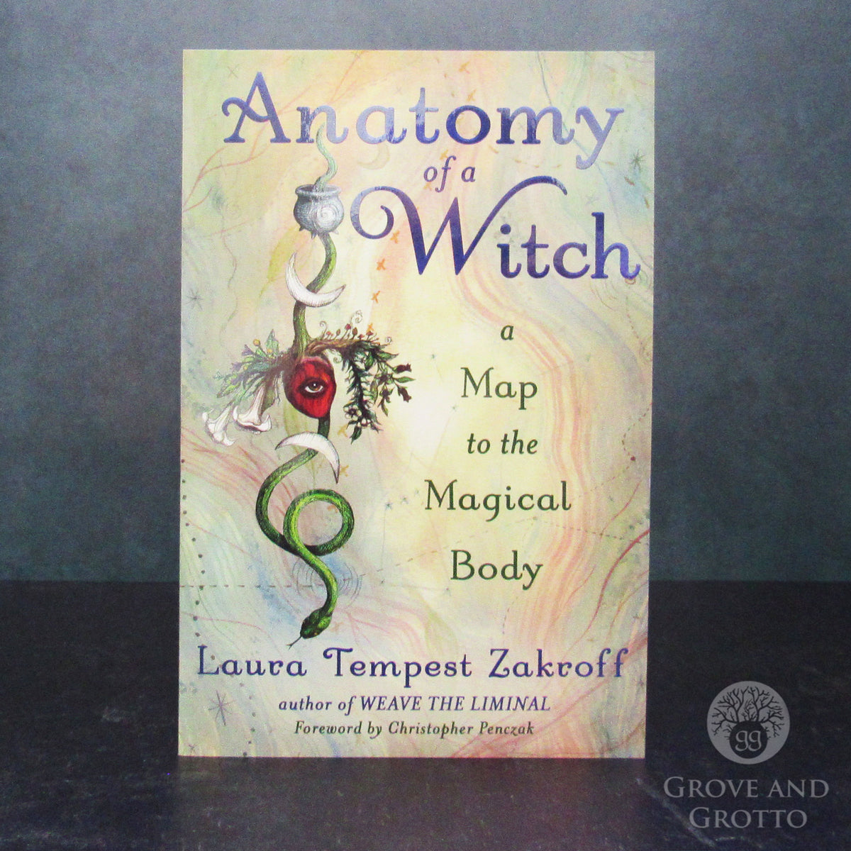 Anatomy of a Witch: A Map to the Magical Body by Laura Tempest Zakroff ...