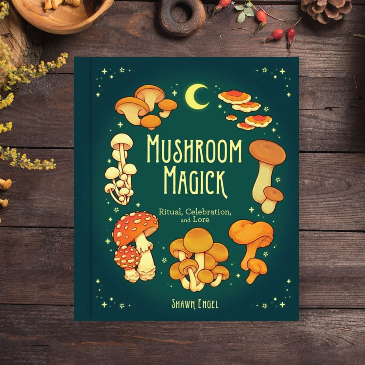 Mushroom Magick by Shawn Engel – Grove and Grotto
