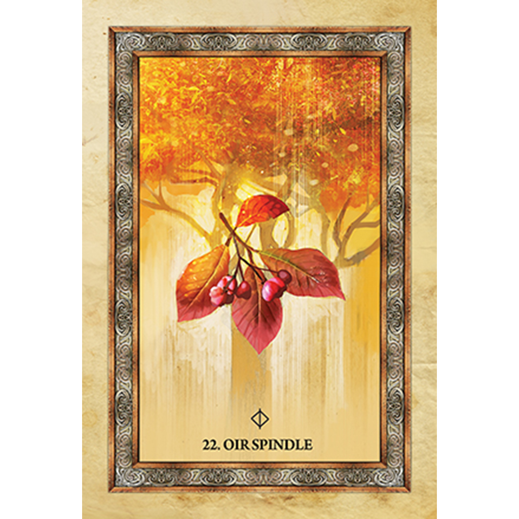 Celtic Tree Oracle – Grove and Grotto