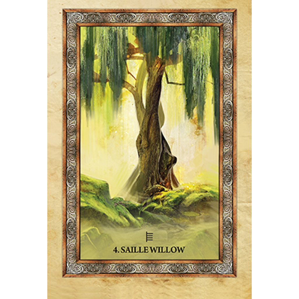 Celtic Tree Oracle – Grove and Grotto