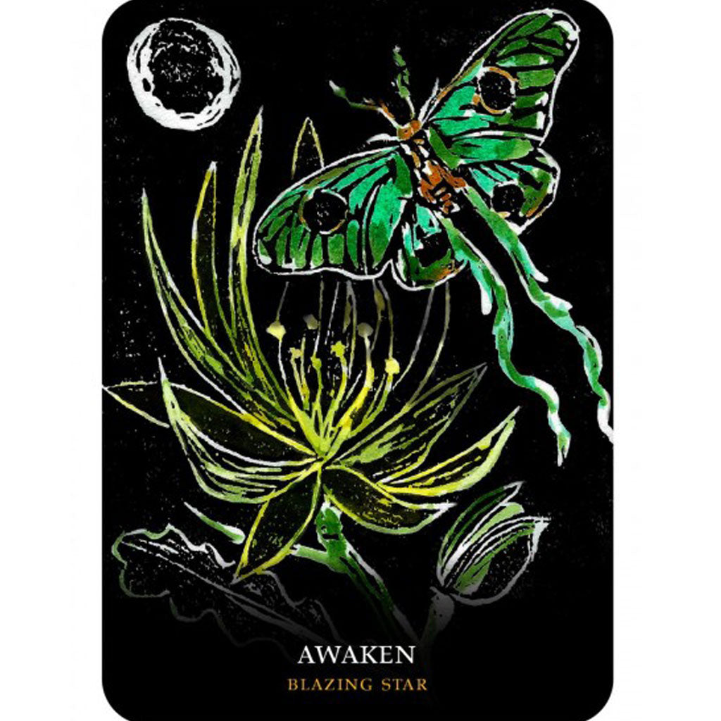 Flowers of the Night Oracle – Grove and Grotto