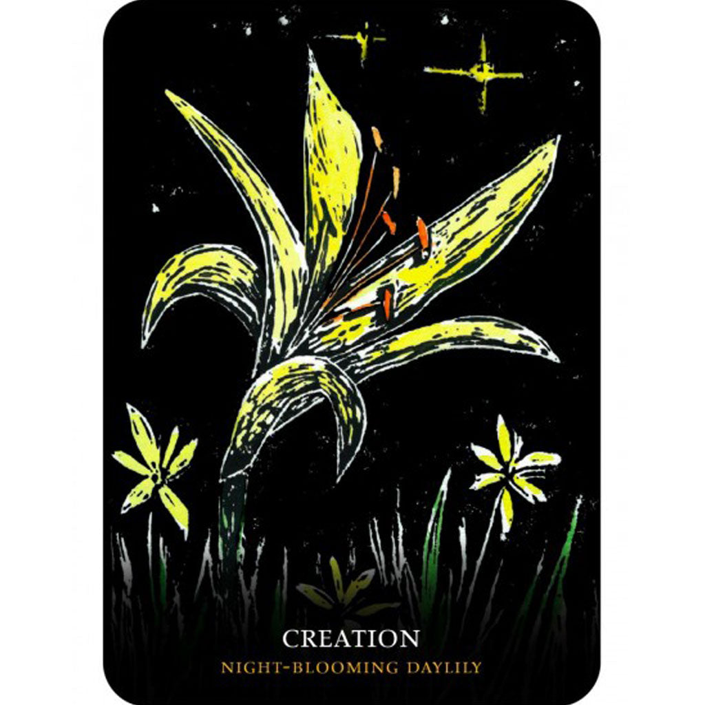 Flowers of the Night Oracle – Grove and Grotto