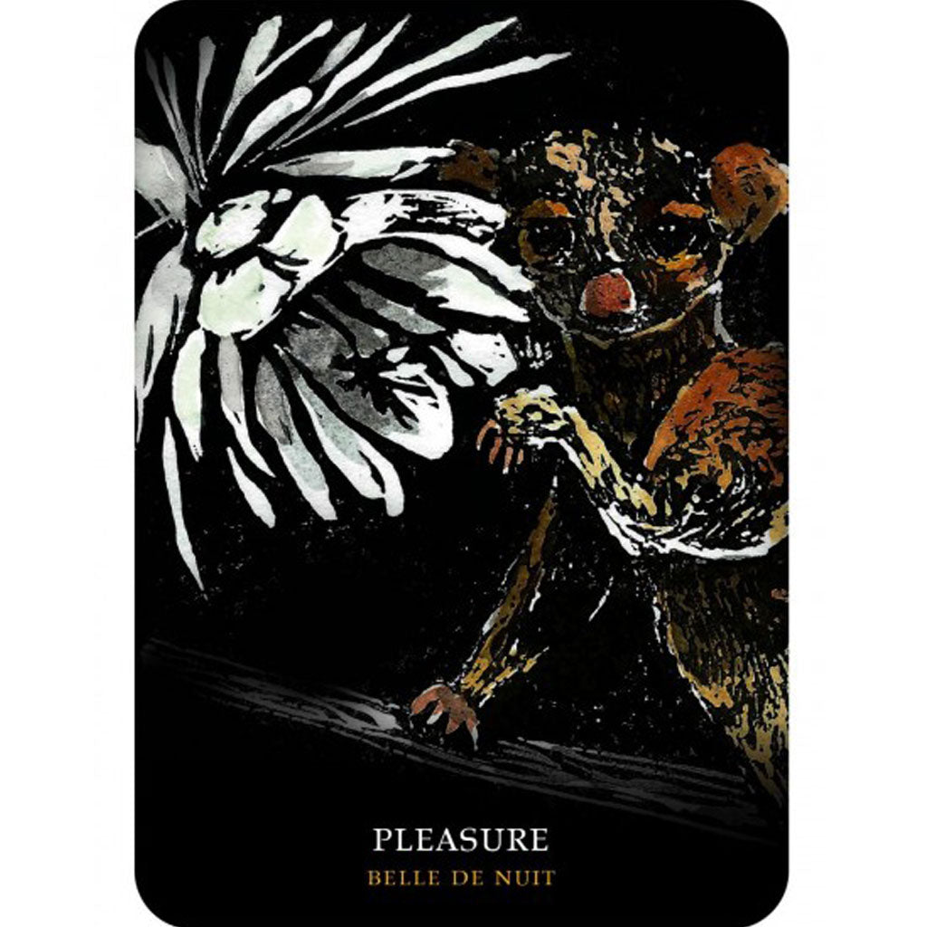Flowers of the Night Oracle – Grove and Grotto