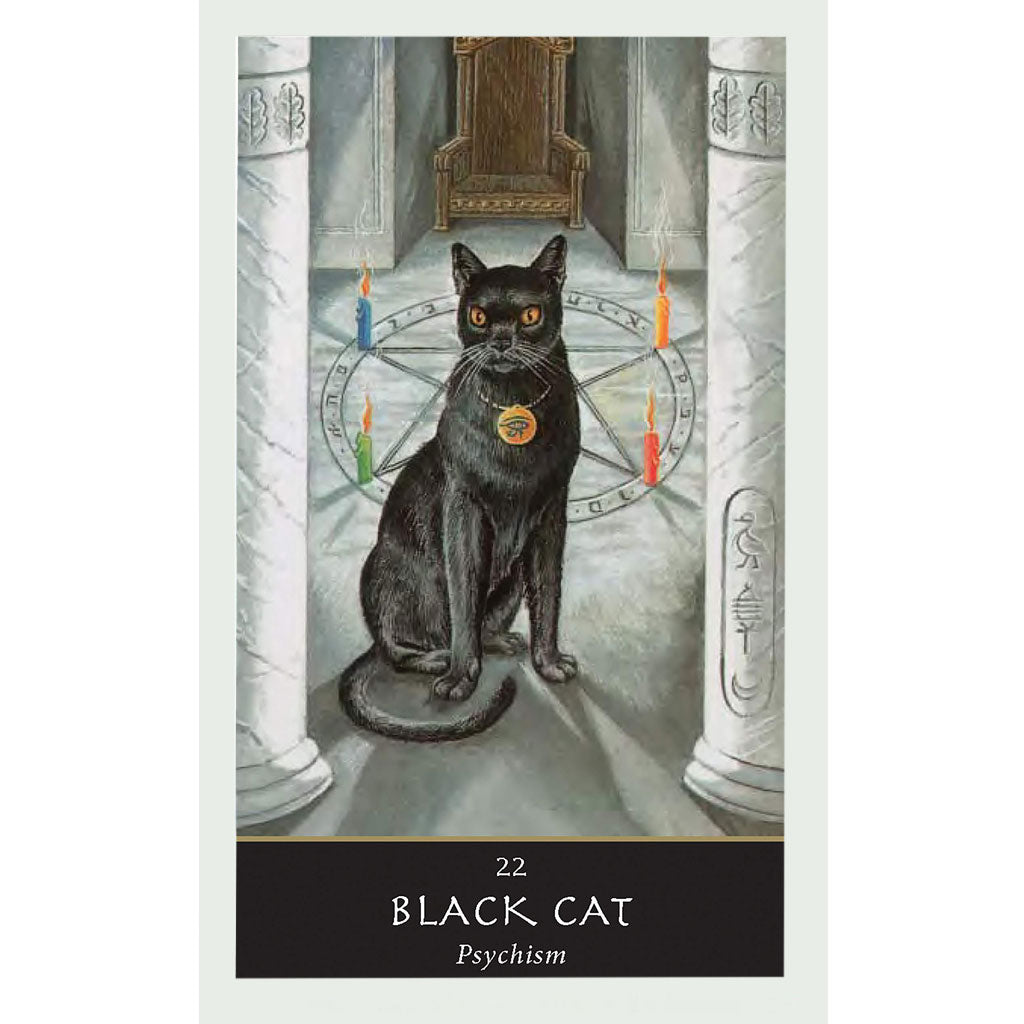 The Witches' Oracle – Grove and Grotto