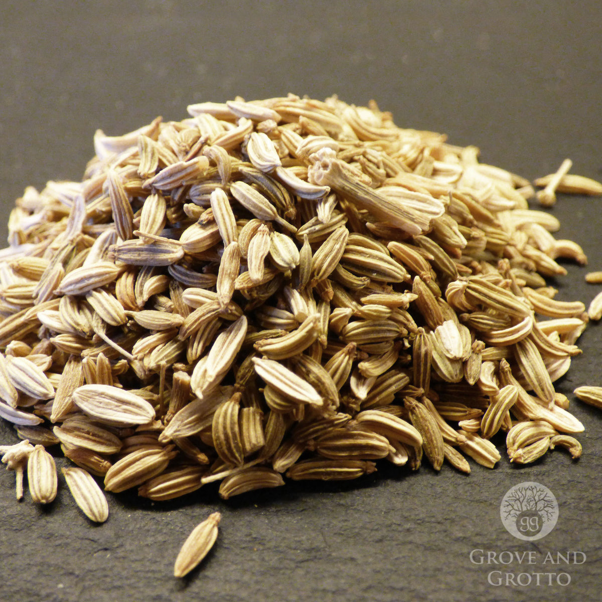 Fennel Seed (1 oz) – Grove and Grotto