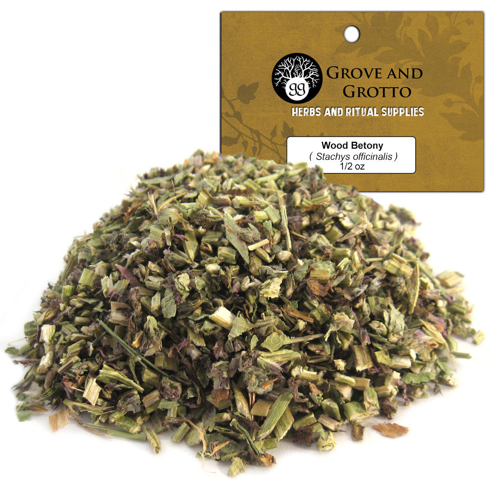 Wood Betony (1/2 oz) – Grove and Grotto