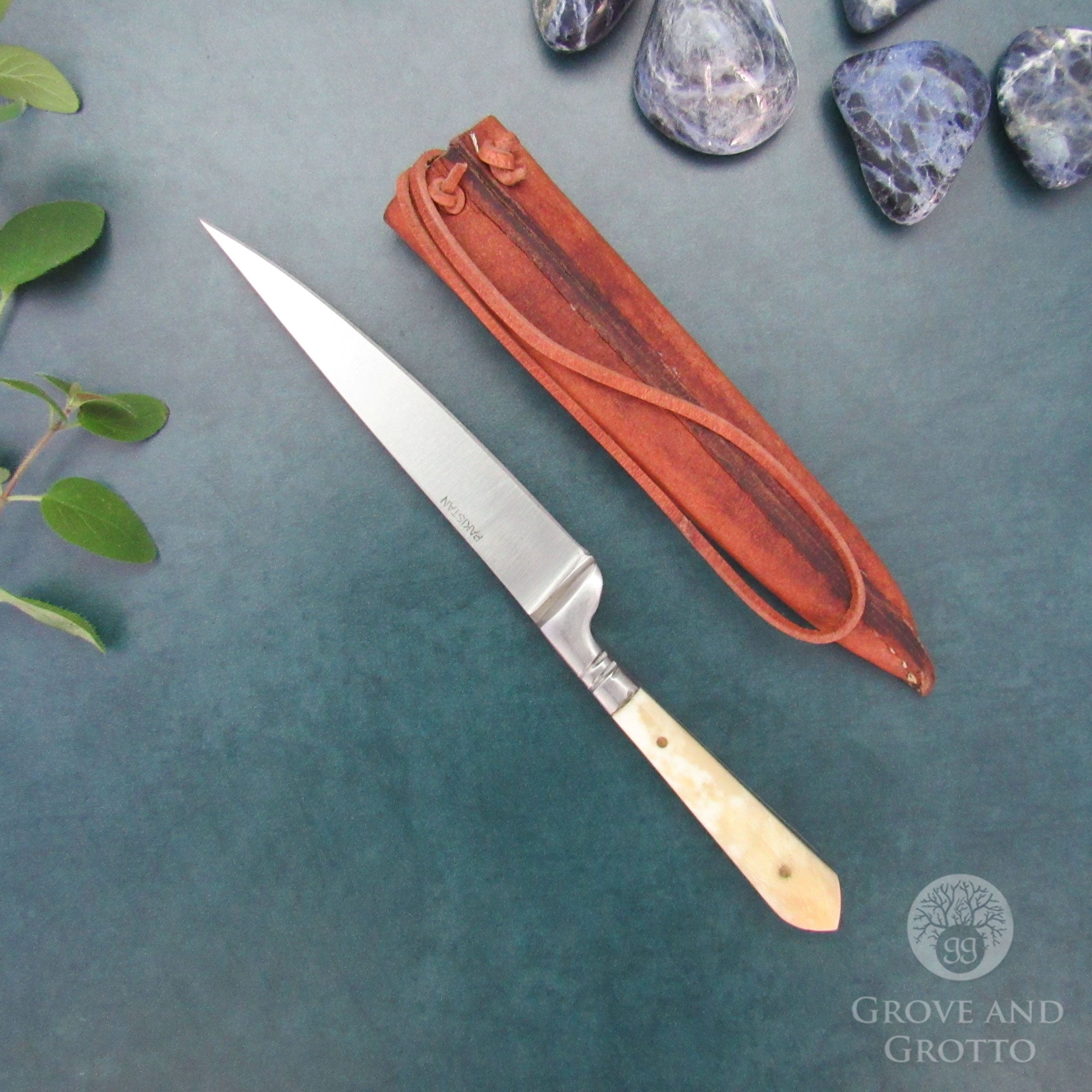 Bone Handle Medieval Toothpick Knife – Grove and Grotto