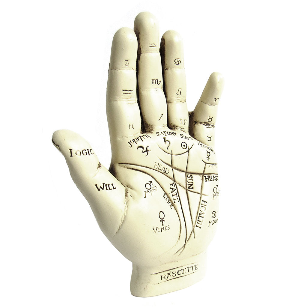 Palmistry Hand with Booklet – Grove and Grotto