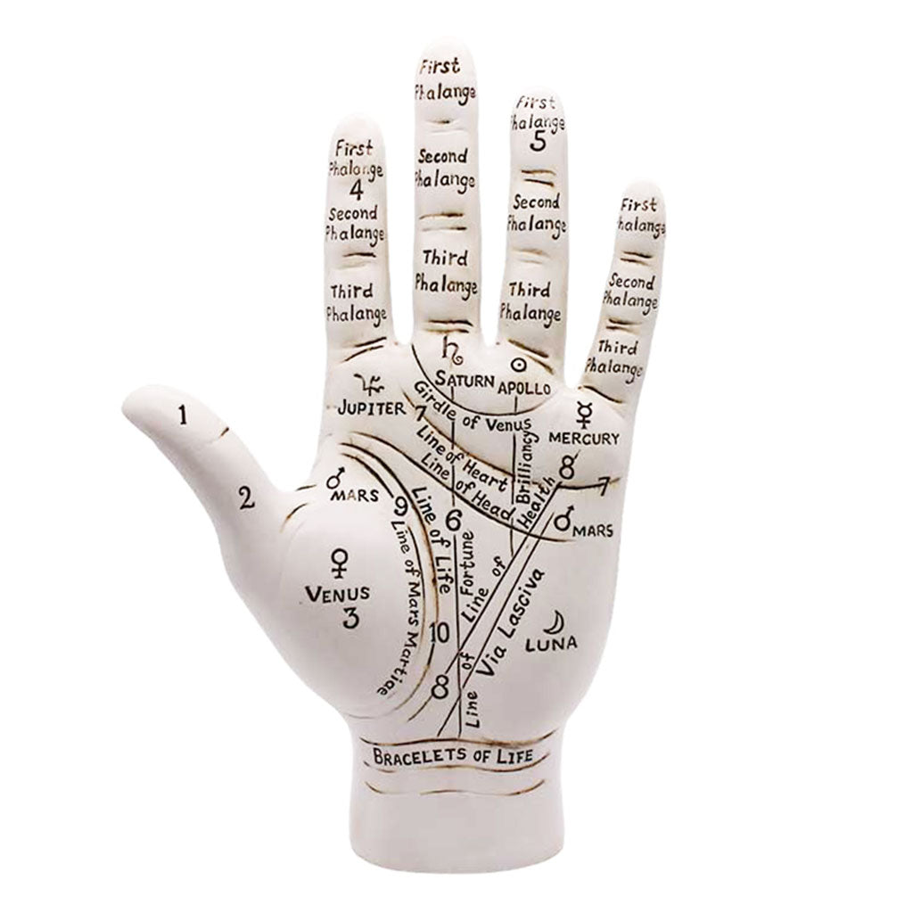 Large Palmistry Hand – Grove and Grotto