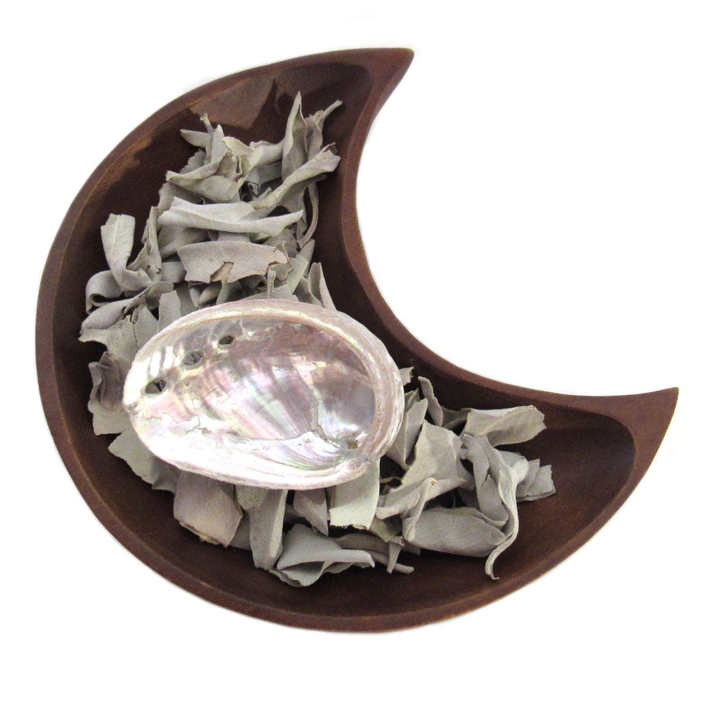 Loose White Sage with Mini Abalone Shell – Grove and Grotto
